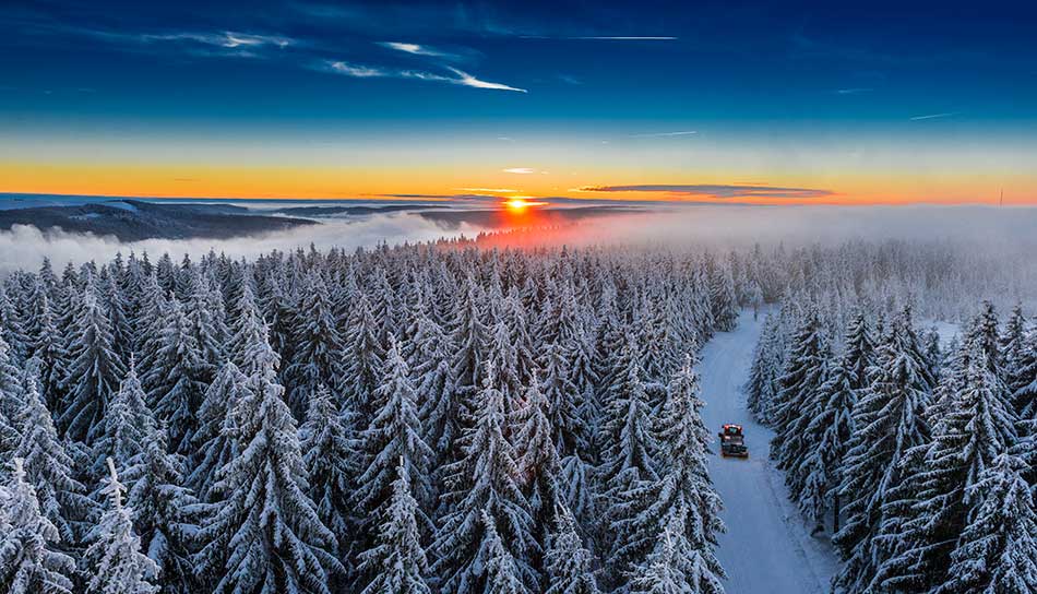 Erfurt, Weimar e o Coração Verde da Alemanha na Turíngia - Abrace o Mundo