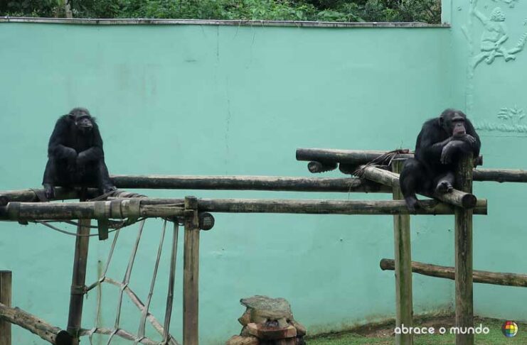 Zoo Pomerode: como é o maior zoológico de SC - Abrace o Mundo
