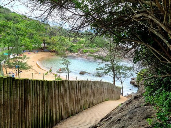 Praia Secreta em Vila Velha: como chegar e o que esperar desse refúgio ...